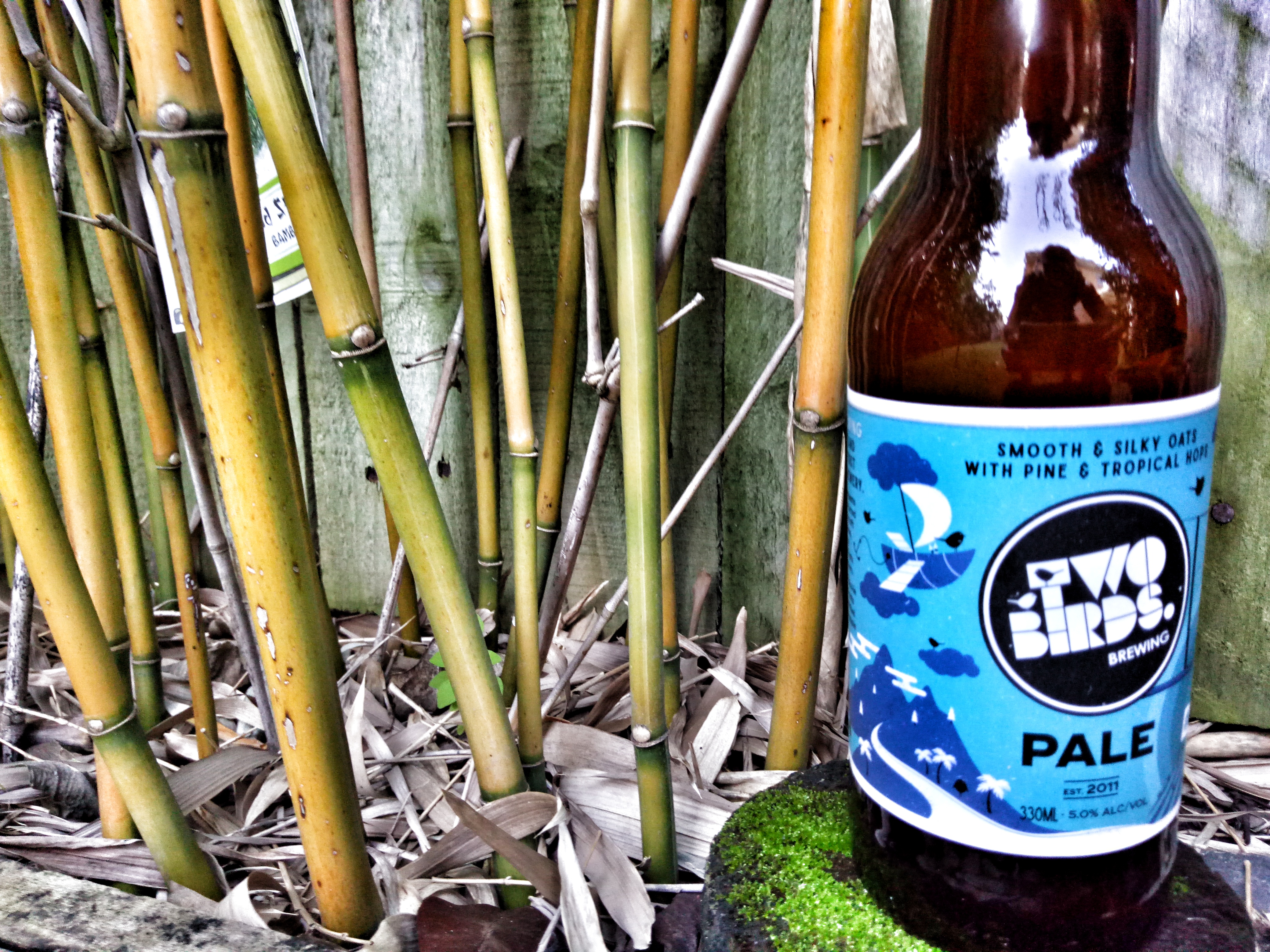 Five Things About … Two Birds PALE – BEER IS YOUR FRIEND